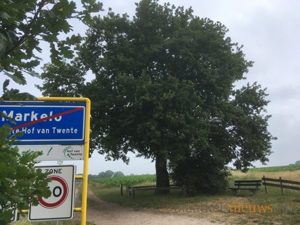 Eikenprocessierupsen zorgen voor overlast - Maarkelsnieuws.nl Maarkelsnieuws.nl