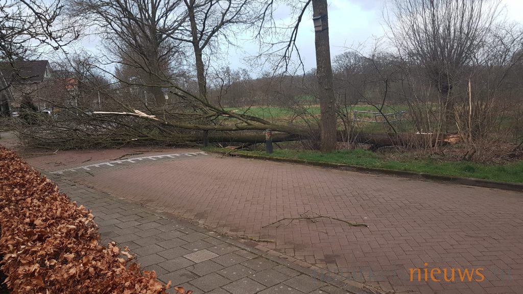 Eunice zorgt voor overlast - Maarkelsnieuws.nl Maarkelsnieuws.nl