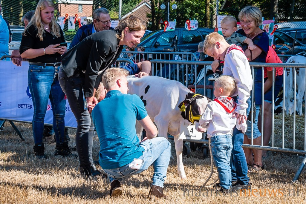 Stralende Fokveedag - Maarkelsnieuws.nl Maarkelsnieuws.nl