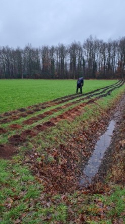 Nieuwe houtsingel in Markelosebroek - Maarkelsnieuws.nl Maarkelsnieuws.nl