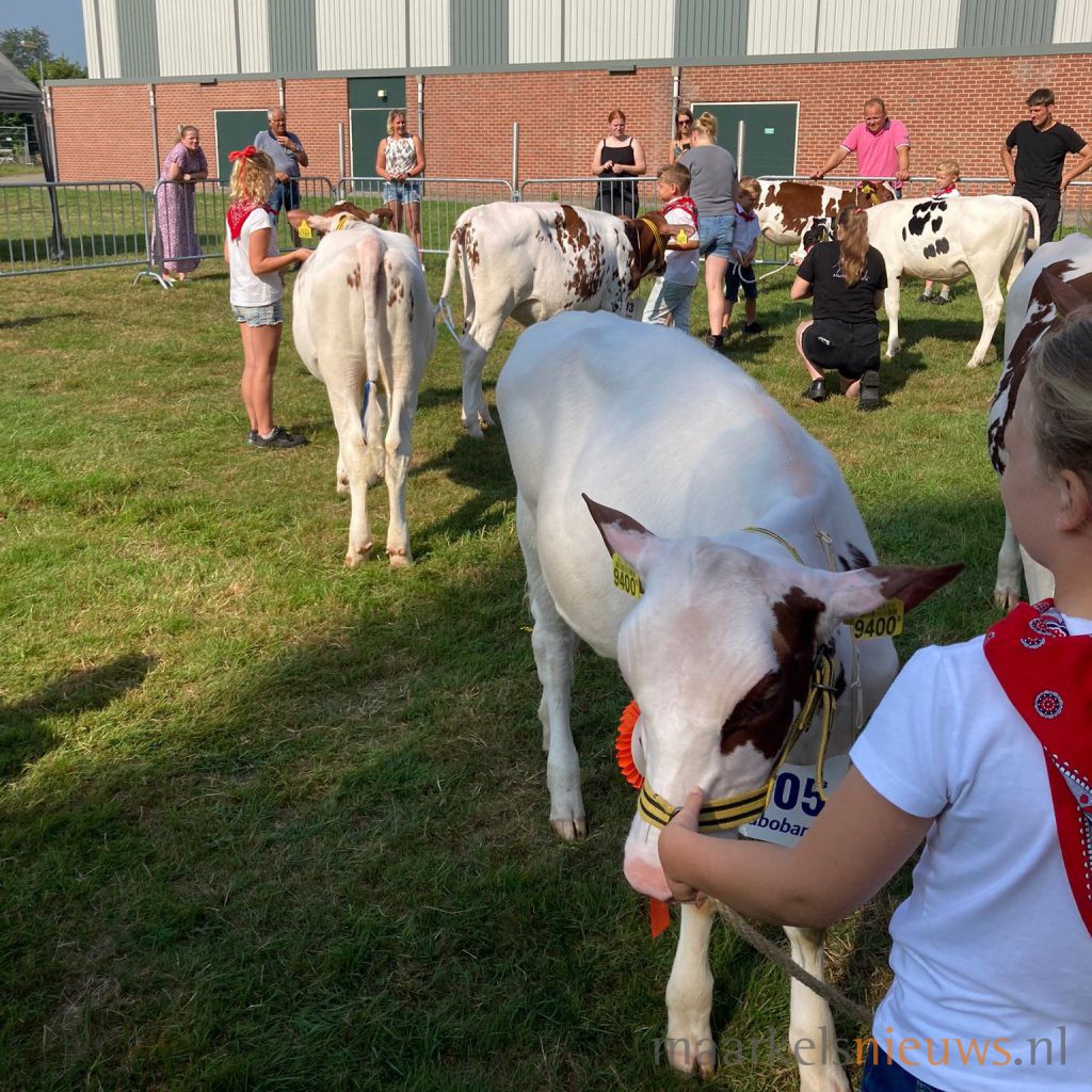 Succesvolle Maarkelse deelname op Loarnse Fokveedag - Maarkelsnieuws.nl ...