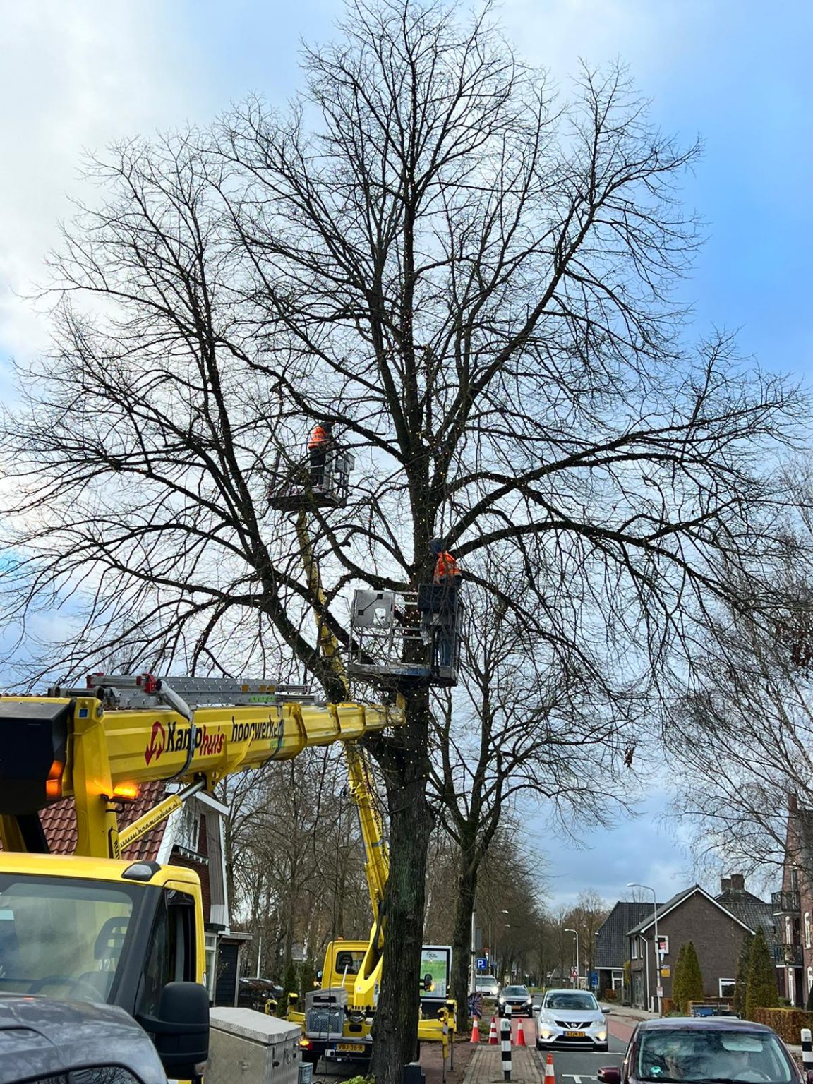 Derde boom zorgt voor sfeervol verlicht centrum - Maarkelsnieuws.nl Maarkelsnieuws.nl