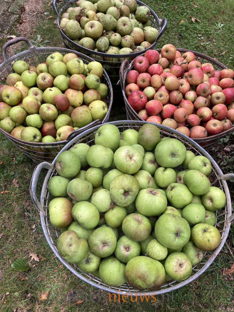 Nog plaatsen beschikbaar voor appelpersen bij de Pot - Maarkelsnieuws ...